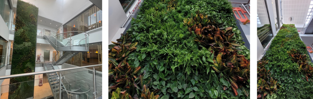 November Installation of the Month | ANS Global — Edge Building Products